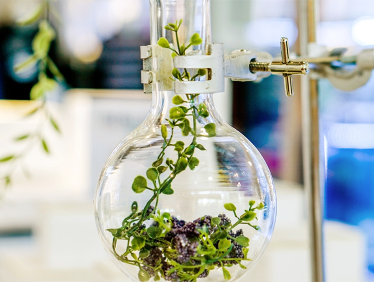 欧莱雅投资生物技术公司「Genomatica」主导的可持续原料研发项目 - C2CC传媒